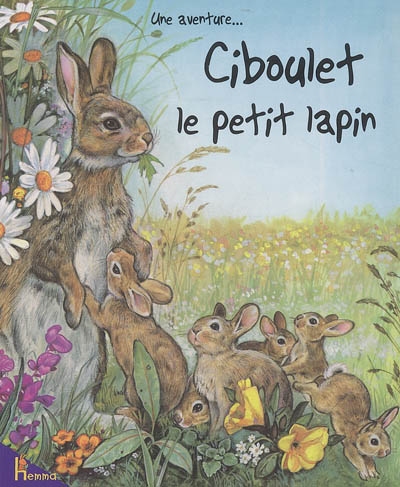 Ciboulet le petit lapin - Marie Duval, Pierre Couronne - Format Broché ...